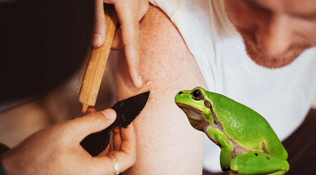 Introduction to Kambo: A Guide to the Sacred Amazonian Plant Medicine ...