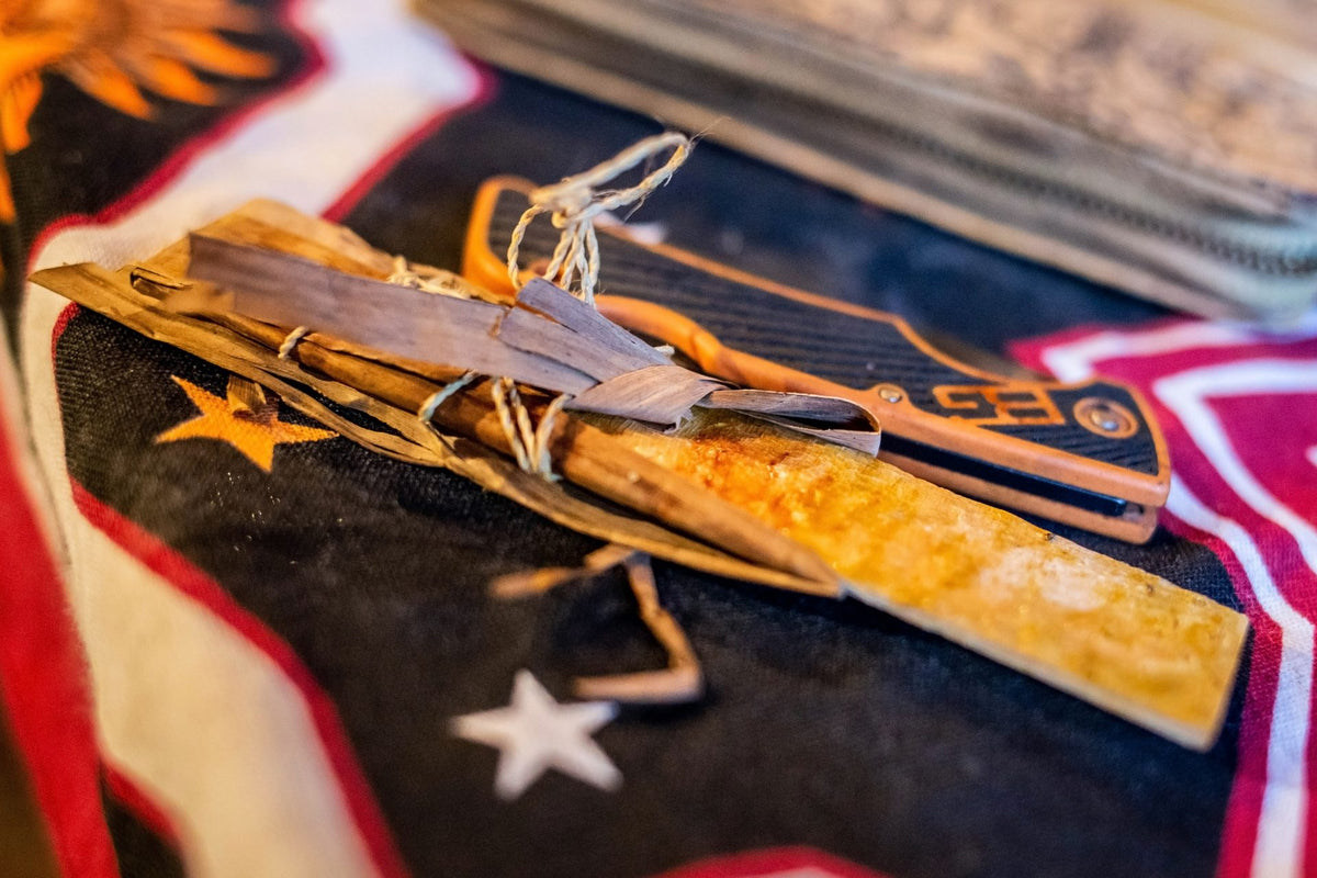 Introduction To Kambo Medicine – Awake Healer